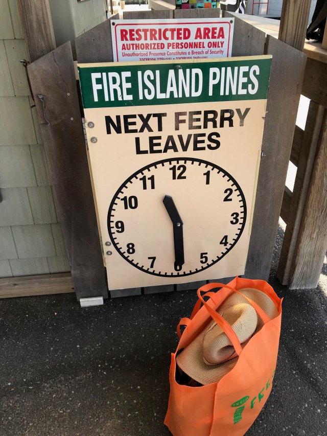 The Douglas Meriwether Griggs Memorial Bridge – The Dao of Doug: A Bus ...